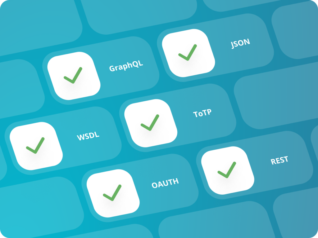 API Security Scanning