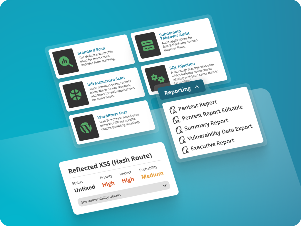 Web App Scanning 2024
