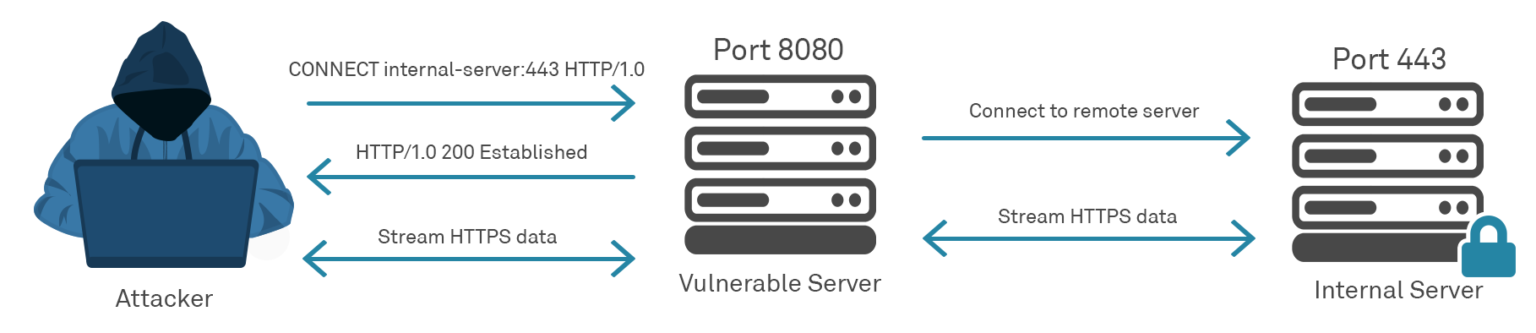 HTTP Verbs & Their Security Risks | AppCheck